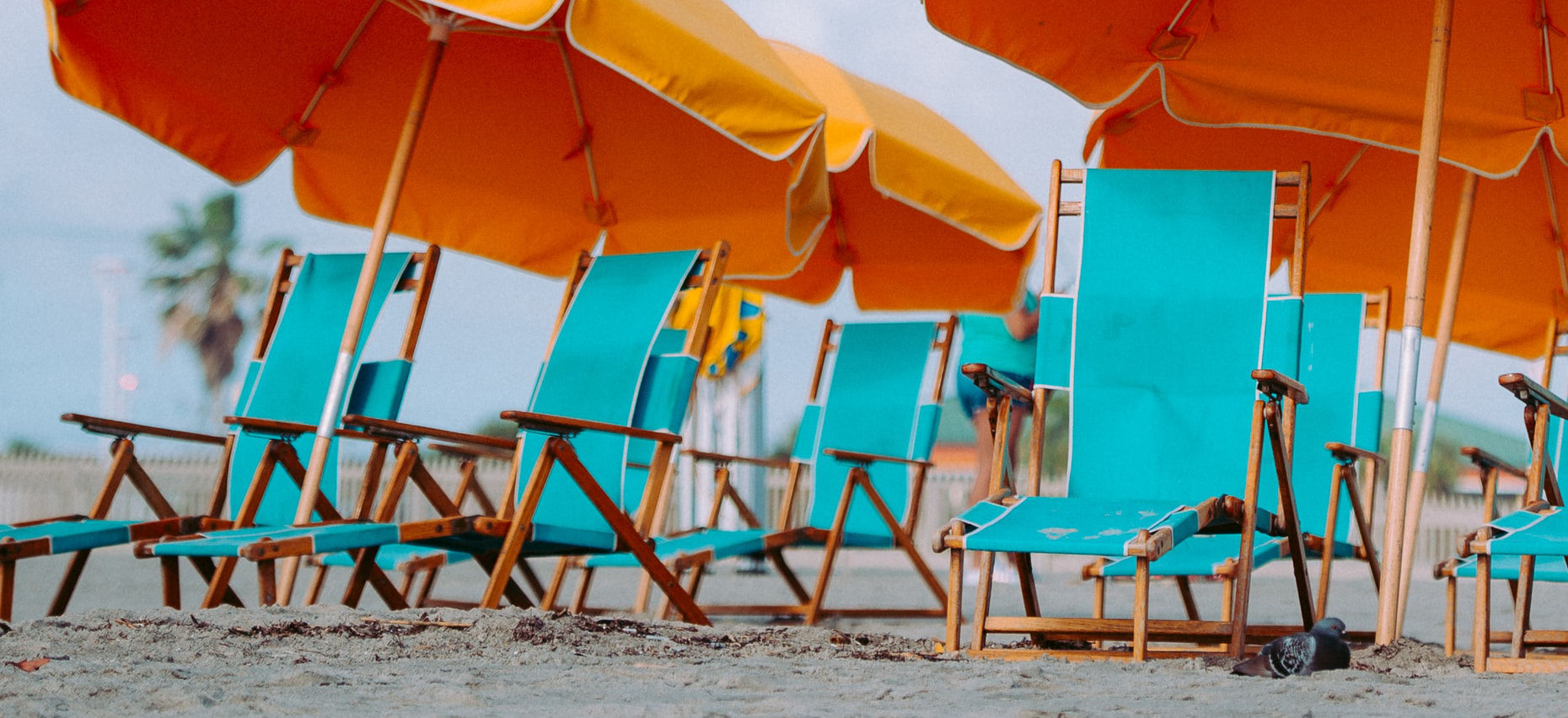 María Recio Catering